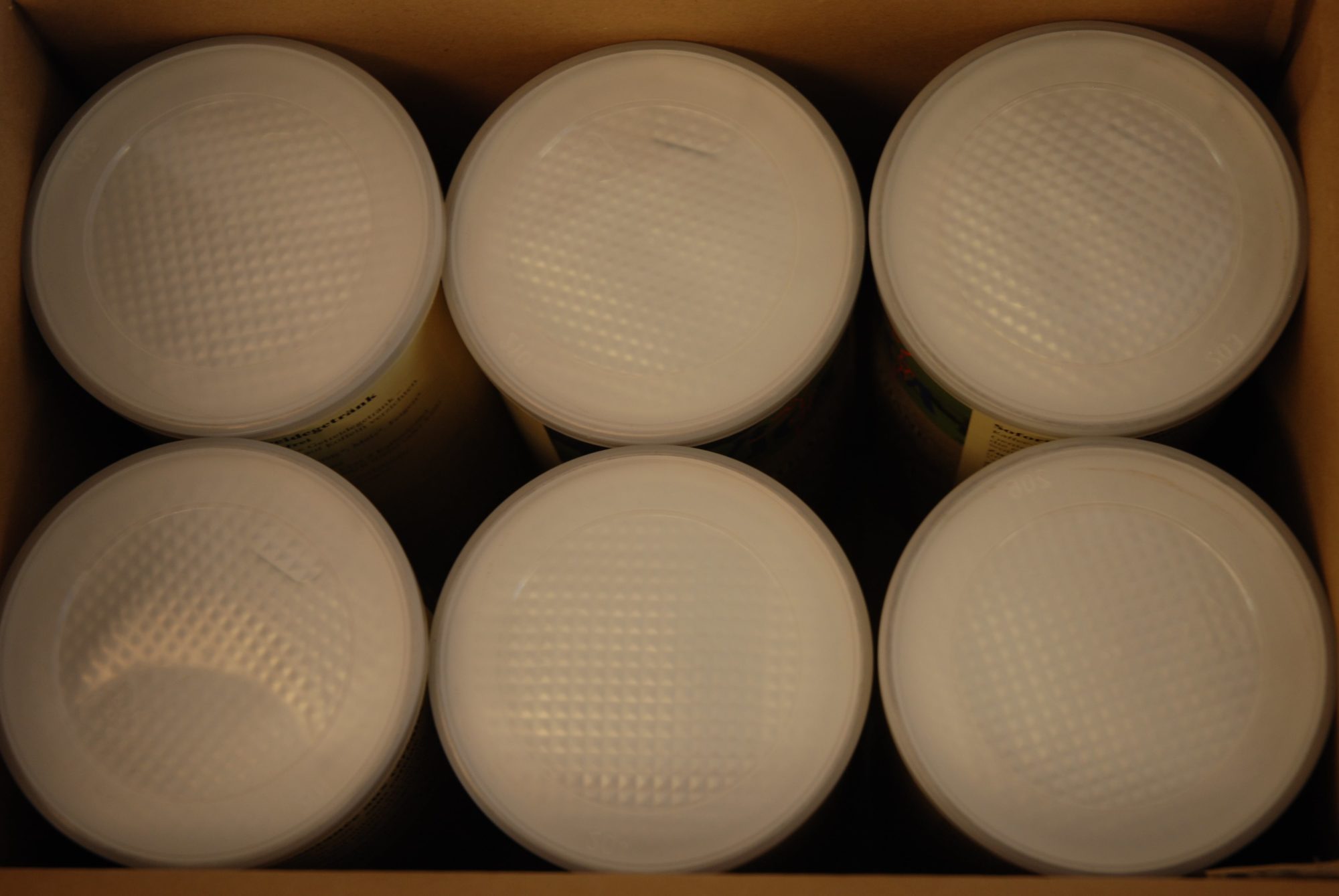 6 Dosen Instant Kaffee BEVITA | SicherSatt